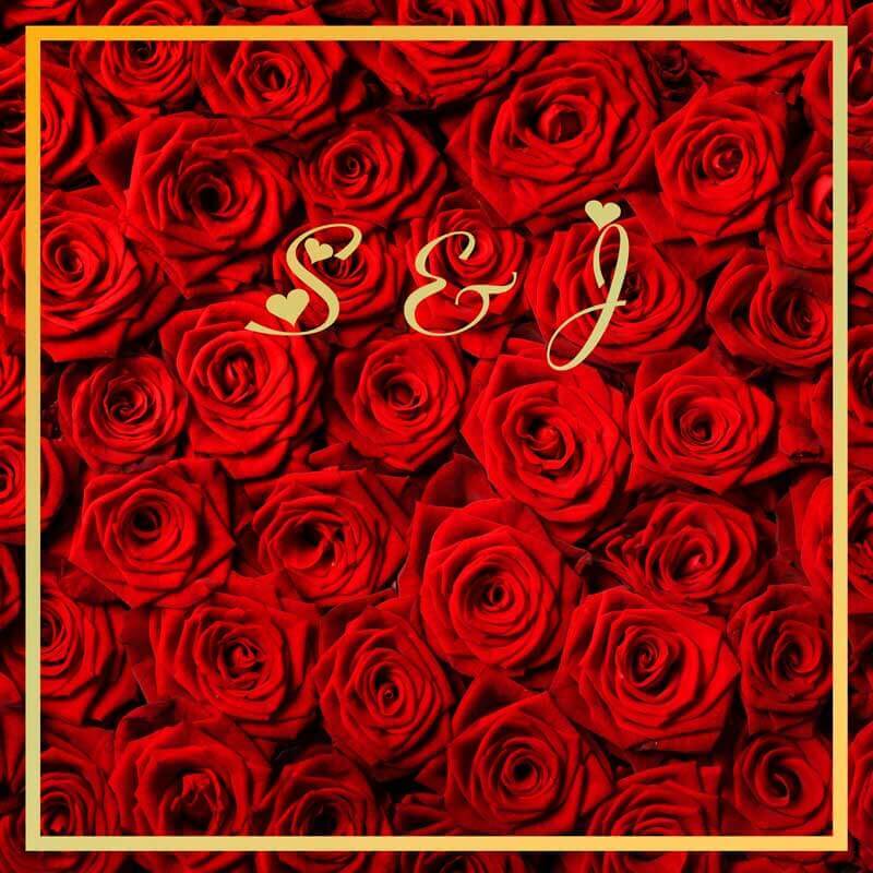Red Roses Backdrop for Wedding – ubackdrops